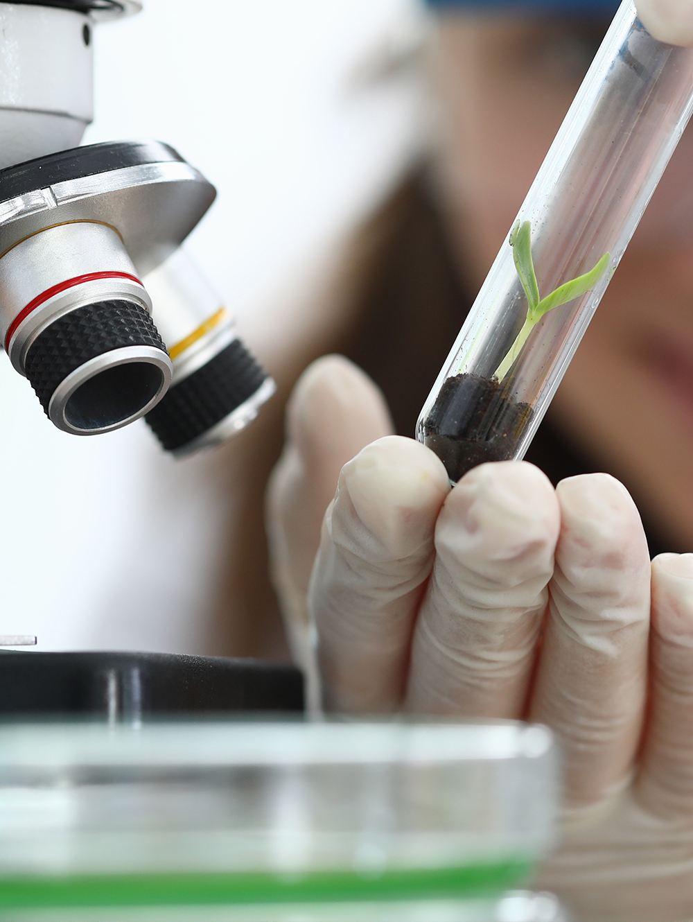 Imperial Tobacco Canada - Marques et produits